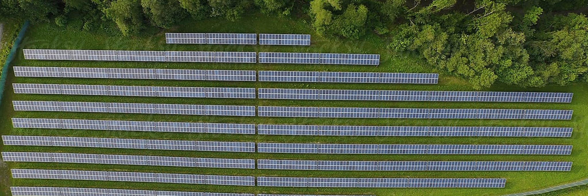 Home - Climate Caucus